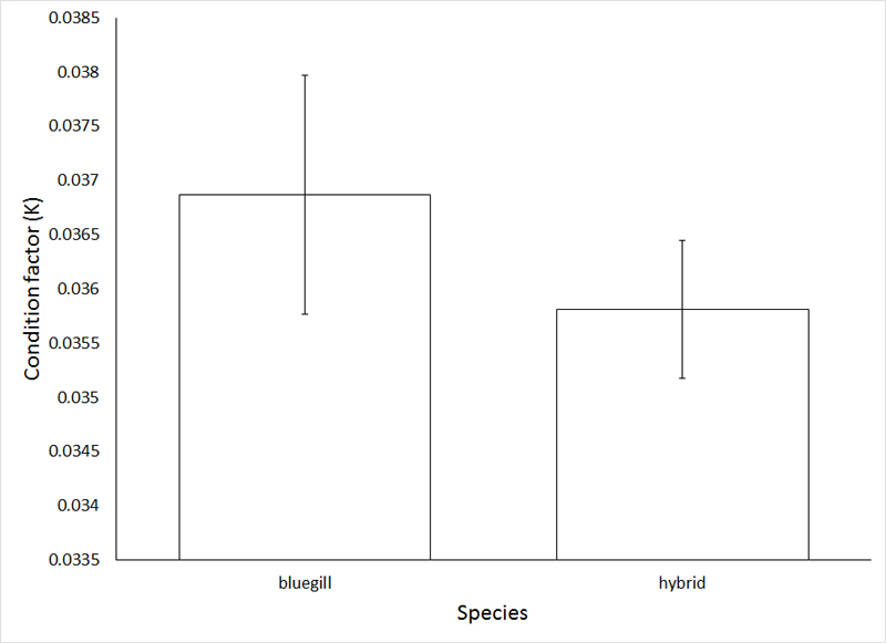 Error Bars - Excel 2013